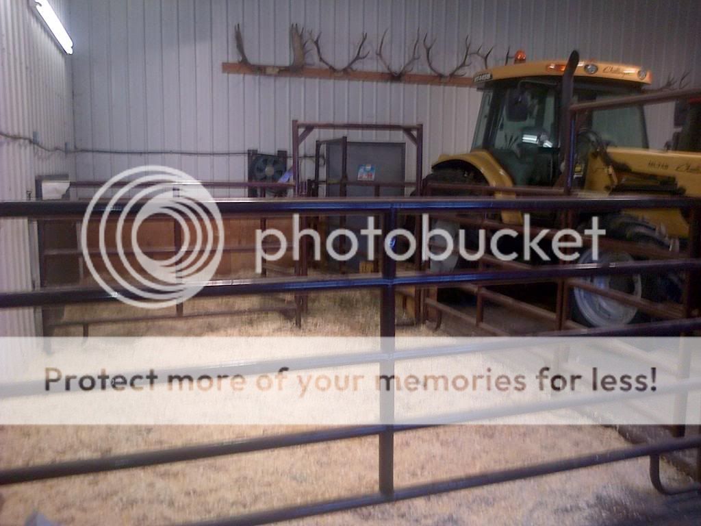 Pics of my calving setup | Ranchers.net