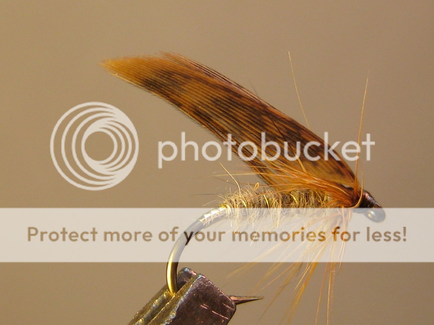 Half-Matuka Hare's Ear Wet Fly SBS | Washington Fly Fishing Forum