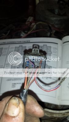 C106 transmission harness connector..My 96 Cobra disagrees with the 96 ...